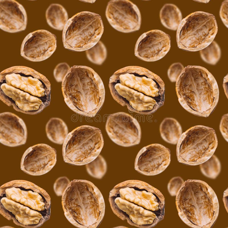 Walnut Seamless Pattern on Dark Brown Background. Open Nut Shell and ...