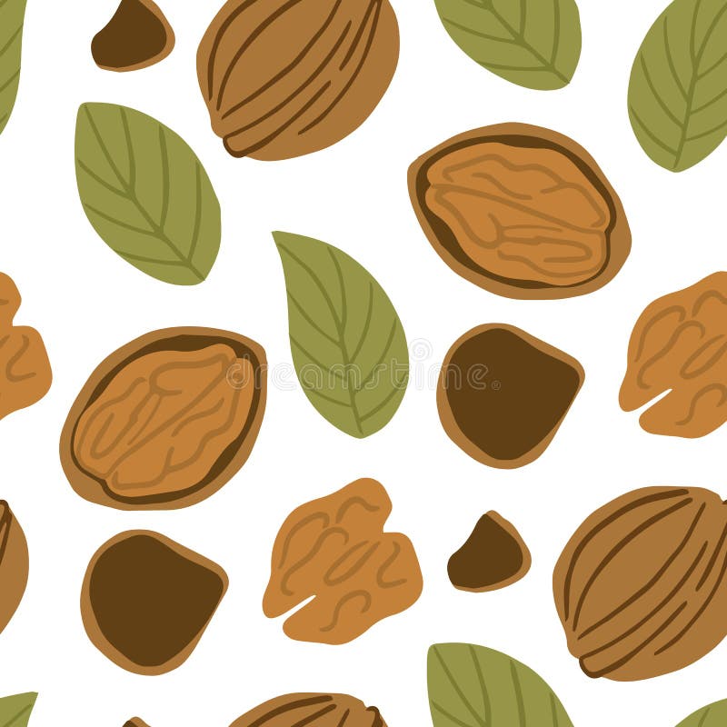 Walnut seamless pattern. stock vector. Illustration of kernel - 178322751