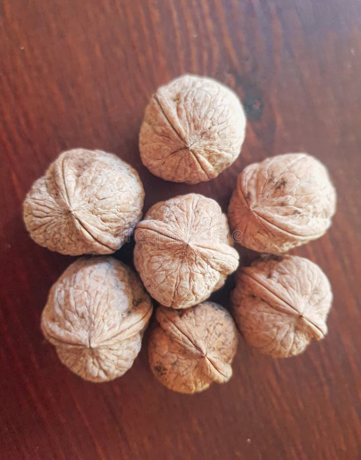 Walnut Seeds Unveiled Exploring the Fascinating World of Walnut ...
