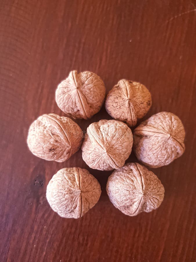 Walnut Seeds Unveiled a Fascinating Exploration of Cultivation ...