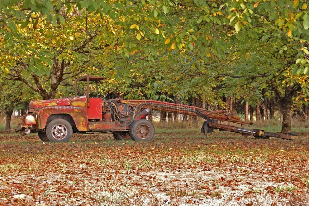 Walnut Shaker stock image. Image of tree, walnut, shaker - 25483009