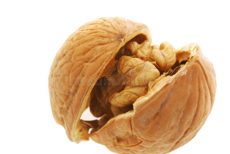 Healthy Food Natural Walnuts Stock Image - Image of waltnuttree, food ...