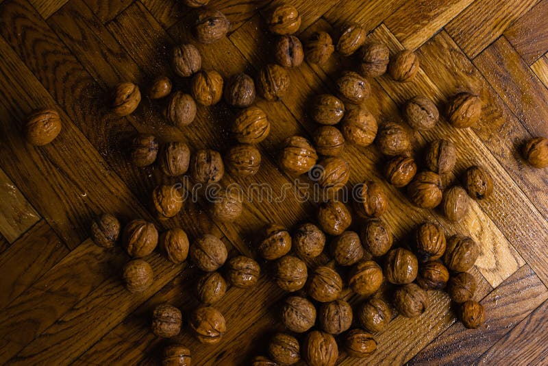 Walnut in the shell stock photo. Image of walnuts, life - 180488852