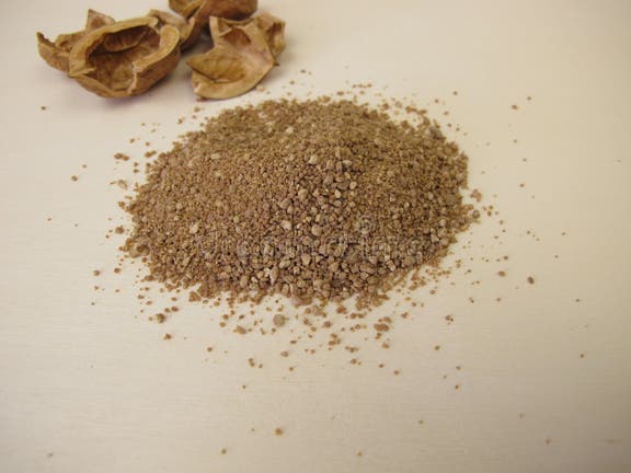Walnut shell granules stock photo. Image of granules - 350241826