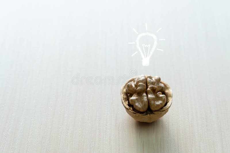 Walnut in the Shell is Like a Brain Stock Image - Image of healthy ...
