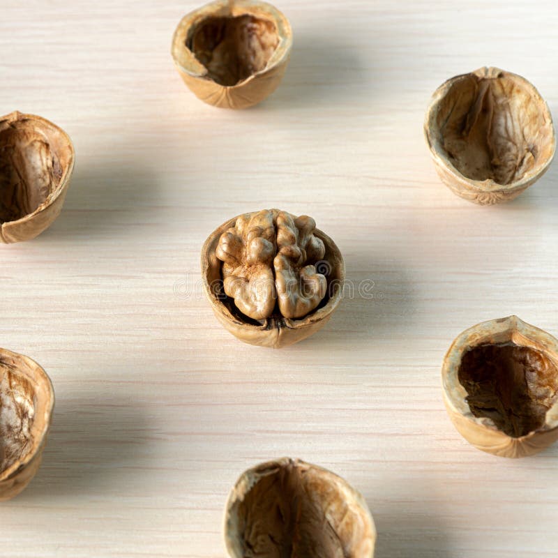 101 Walnut Like Brain Stock Photos - Free & Royalty-Free Stock Photos ...