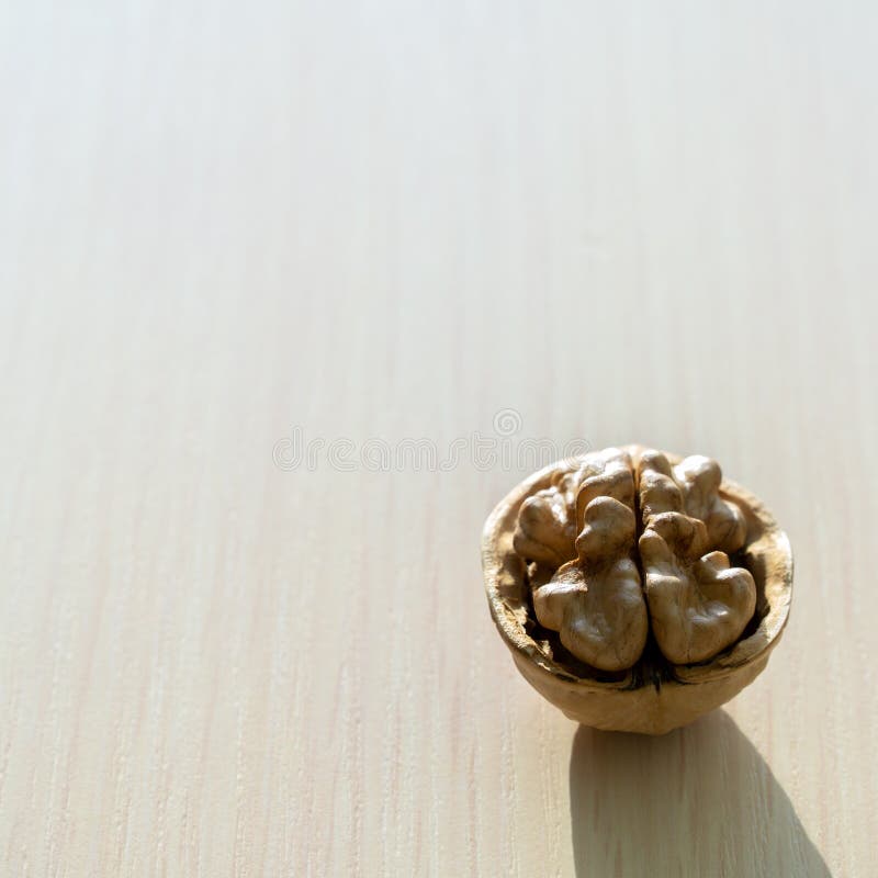 Walnut In The Shell Is Like A Brain Stock Photo - Image of food ...