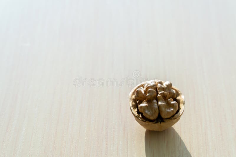 Walnut in the Shell is Like a Brain Stock Photo - Image of breakfast ...