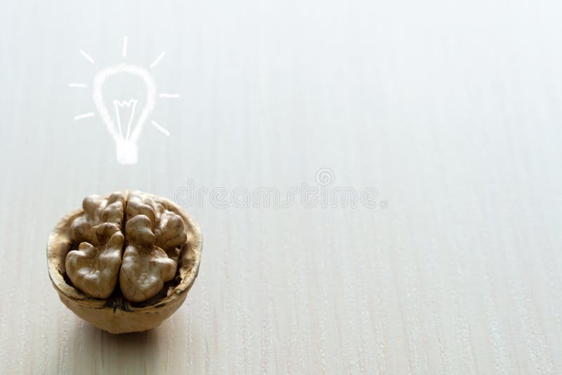 Walnut in the Shell is Like a Brain Stock Photo - Image of brunch ...