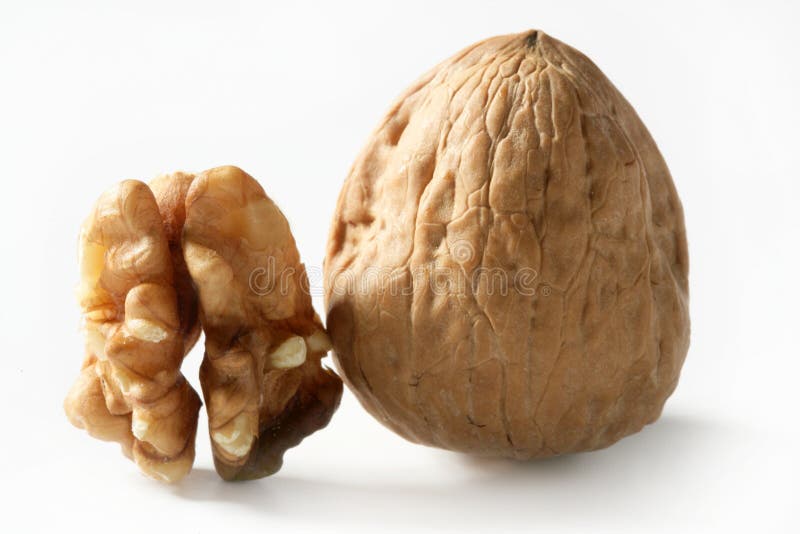 Walnut kernel macro stock photo. Image of ingredient - 34506296