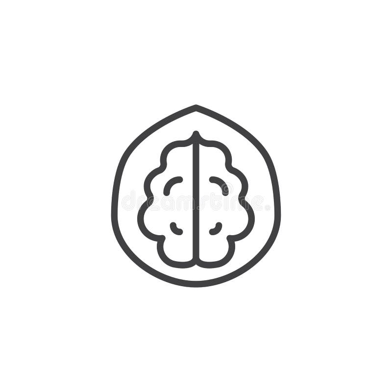 Walnut shell outline icon stock vector. Illustration of organic - 126230028