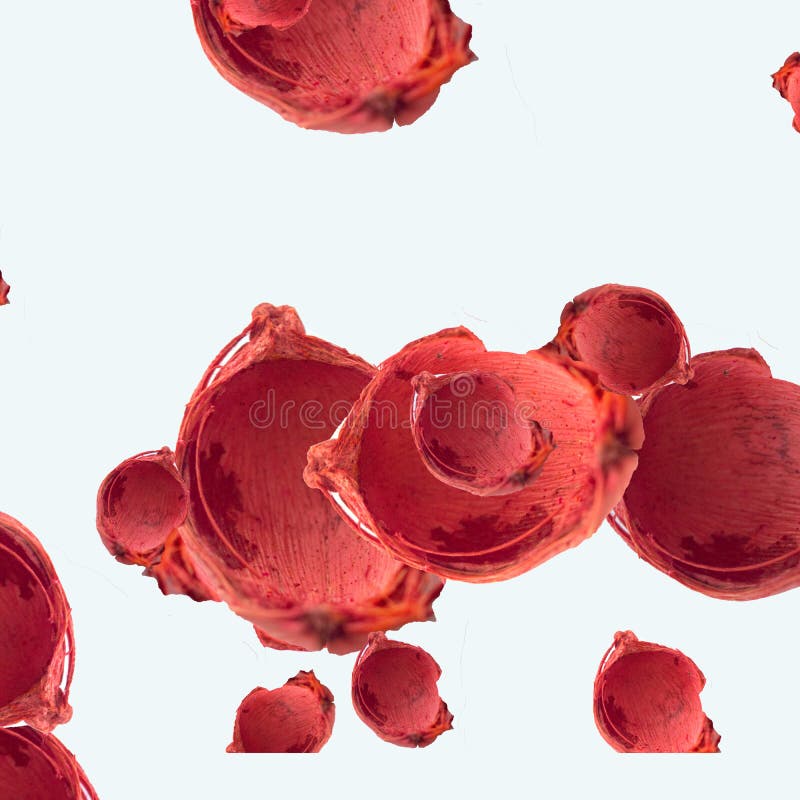 The Walnut Shell is Red on a White Background. Seamless Pattern ...