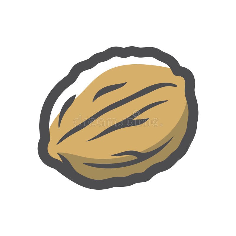 Walnut shell vector icon stock vector. Illustration of vegetarian ...