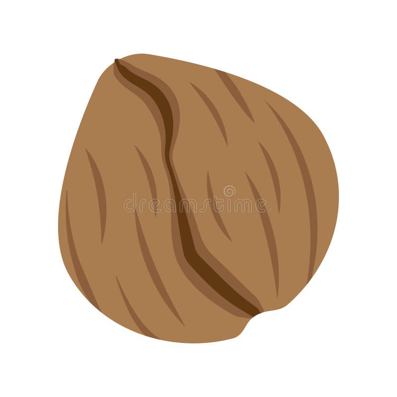 Walnut in Shell Vector Icon. Illustration in Flat Cartoon Style Stock ...