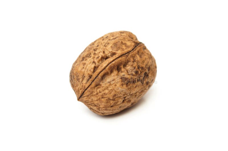 Walnut in shell stock image. Image of objects, macro - 33549077