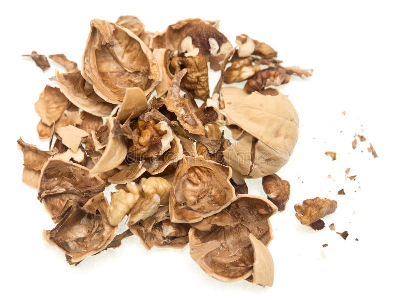 Walnut shell stock image. Image of eating, collection - 272850437