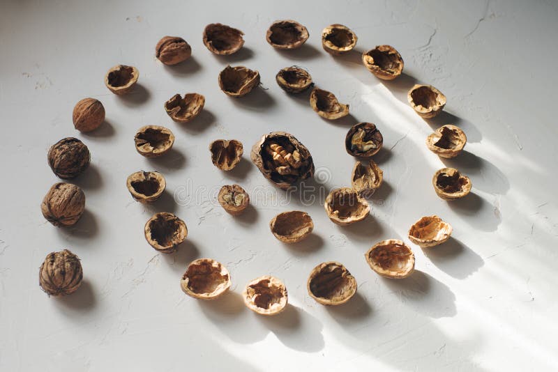 Walnut Shell on White Table Stock Photo - Image of horizontal, empty ...