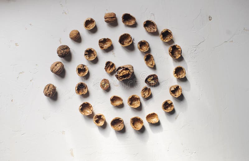 Walnut Shell on White Table Stock Image - Image of organic, seed: 233349347