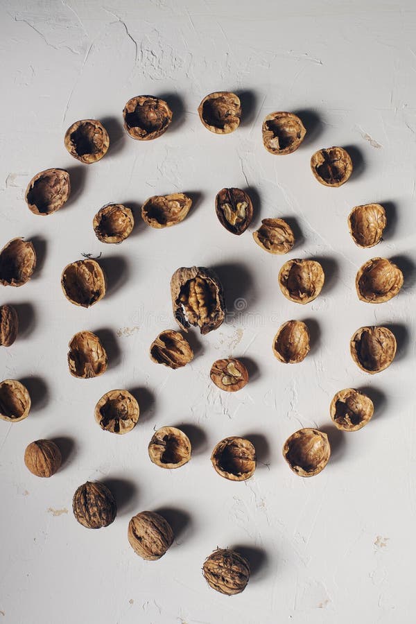 Walnut Shell on White Table Stock Image - Image of organic, open: 233349349