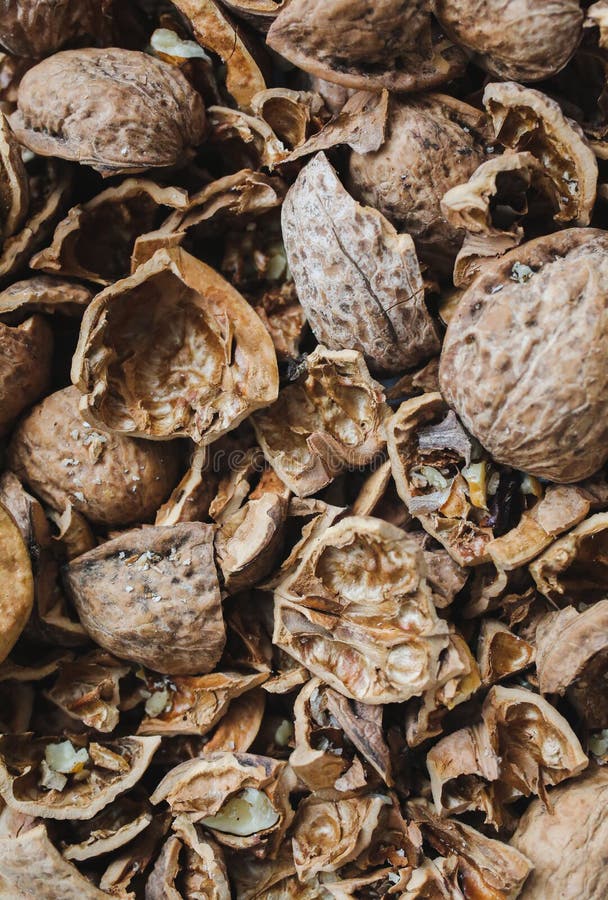 Walnut Shells Background. Nuts Texture Stock Photo - Image of superfood ...