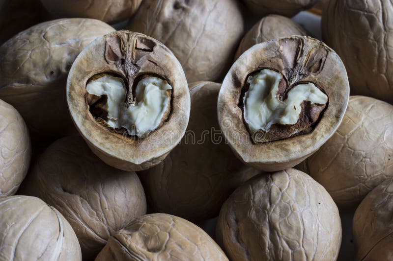 Walnut shells. strong love stock photo. Image of vegetarian - 382793106