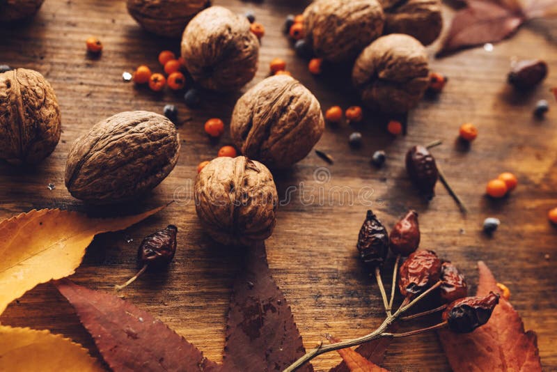 Walnut shells on table stock image. Image of healthy - 133610841