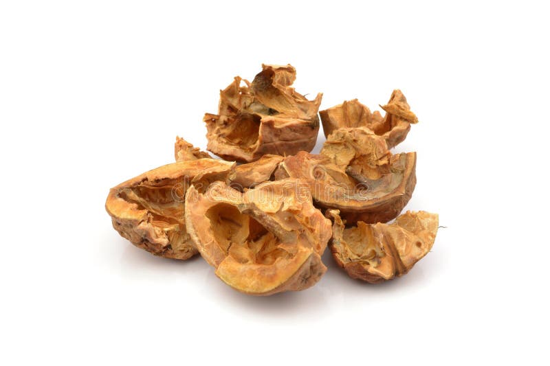 Walnut shells stock photo. Image of walnut, pieces, shell - 305271676