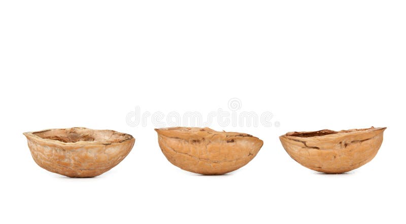 Three walnut shells stock photo. Image of strength, full - 30185802