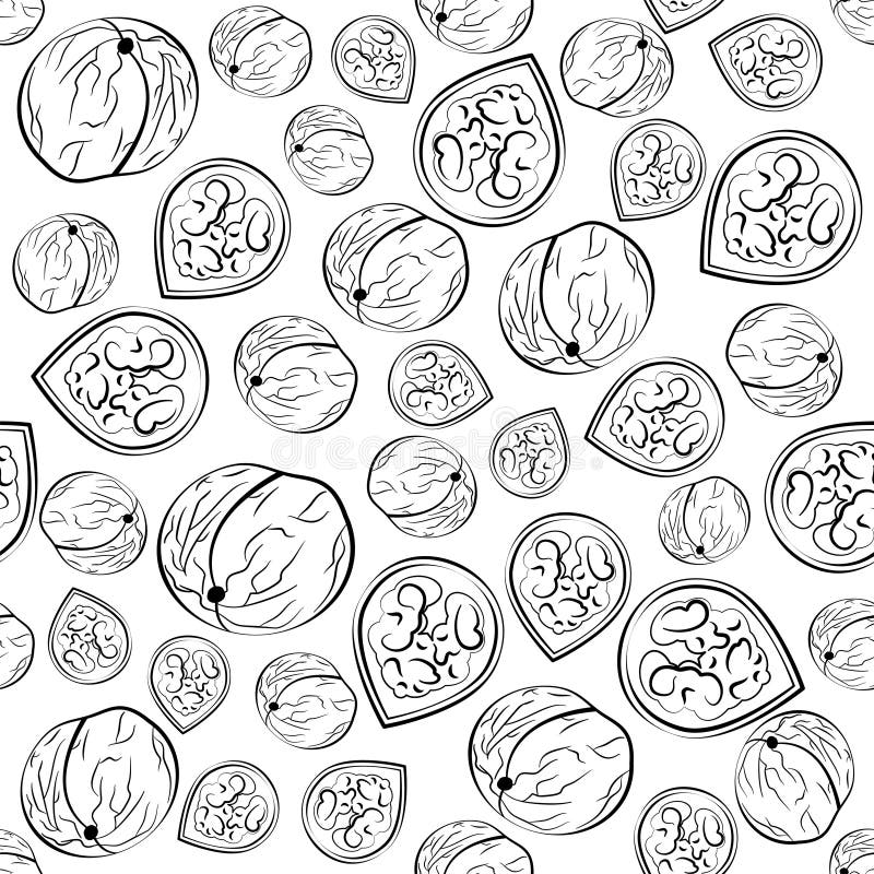 Two Walnuts Stock Illustrations – 38 Two Walnuts Stock Illustrations ...