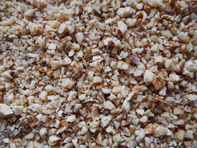 Walnut stock image. Image of core, healthy, walnut, walnuts - 83287997