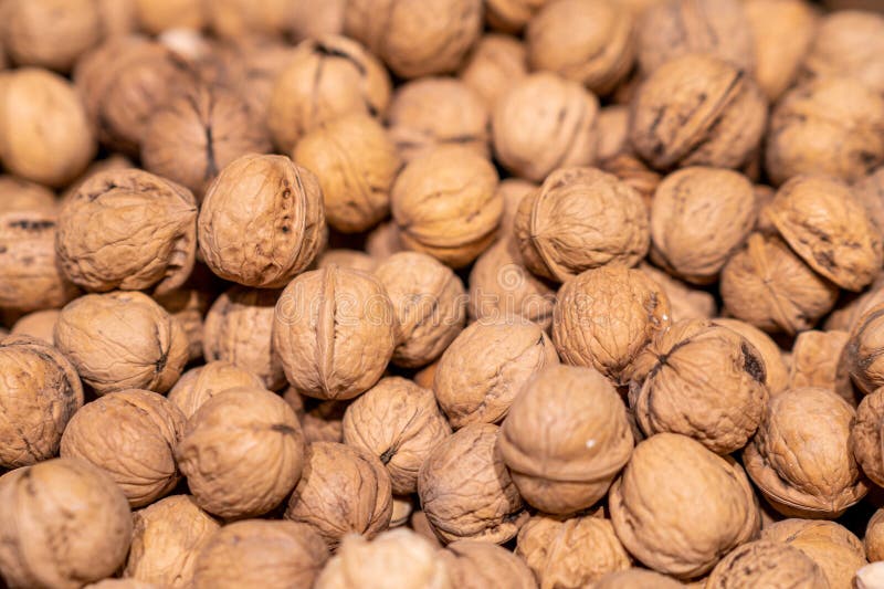 Walnut on the store shelf stock image. Image of dieting - 269906335