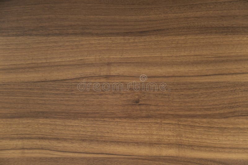 Walnut stock image. Image of eating, healthy, group, handful - 38538227