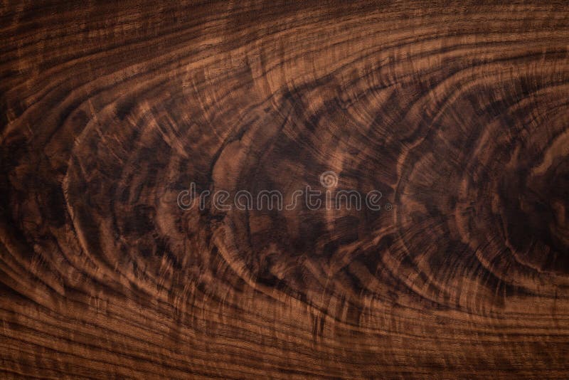 Walnut Texture. Walnut Wood Plank Texture Background Stock Photo ...