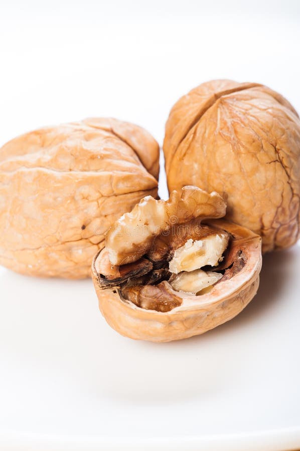 Walnut Unopen Stock Photos - Free & Royalty-Free Stock Photos from ...