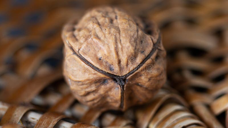 Three Sea Shells on Top of Each Other Stock Photo - Image of ridges ...