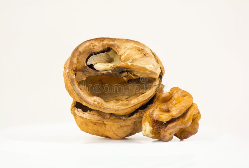 Walnut stock photo. Image of walnuts, split, nature, brown - 48048850