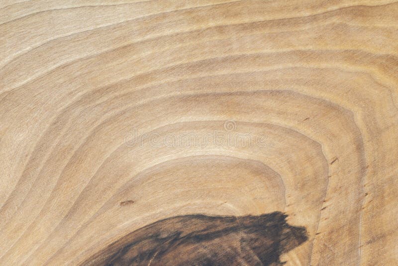 Walnut Tree Cross-section with Stripped Texture for the Background ...