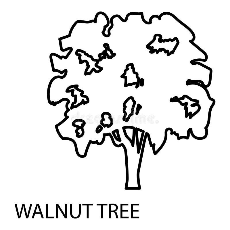 Walnut Tree Icon, Outline Style Stock Vector - Illustration of sign ...