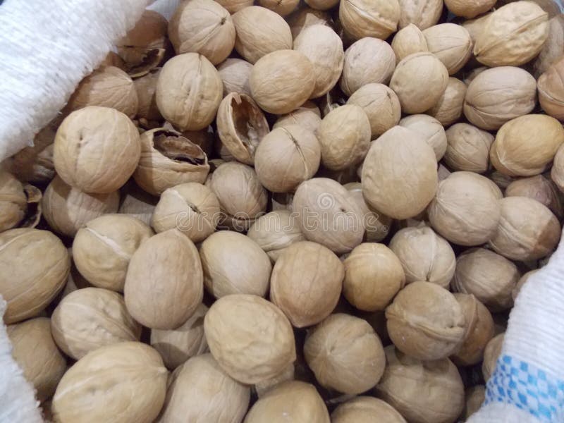 Walnut, Walnut from a Tree. Resh Nut Fruits in a Bag Stock Photo ...