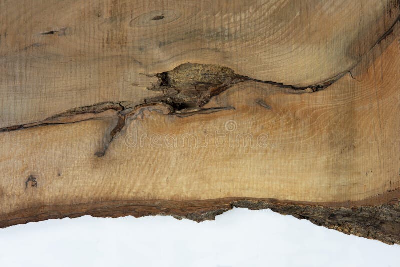Walnut Tree Slab, Rustic Solid Wood Detail with Crack and Bark Stock ...