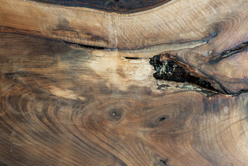 Walnut Tree Slab, Solid Wood Detail with Crack and Bark Stock Image ...