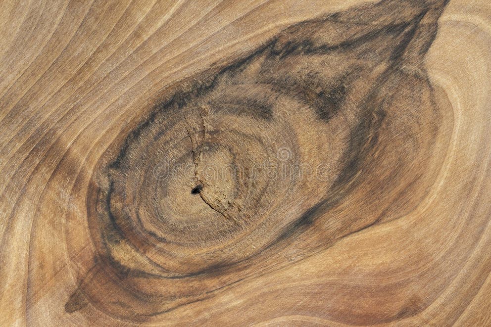 Walnut Tree Wood Texture. Natural Wooden Pattern for Backgrounds ...