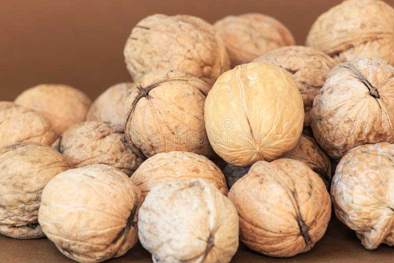 Walnut stock image. Image of food, dried, features, vegetarian - 61788051