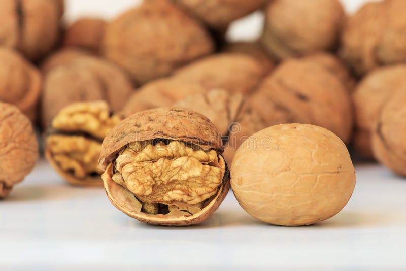 Nuts Hanging on a Walnut Tree Stock Photo - Image of closeups, hang ...