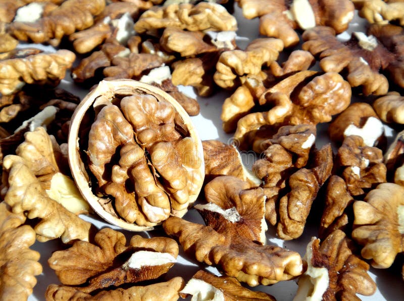 Walnut stock photo. Image of diet, nuts, specialty, snacks - 30919392
