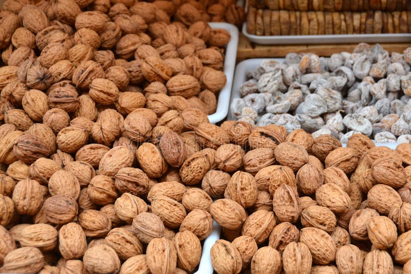 Walnut stock image. Image of nutshell, cracked, nutty - 73527525