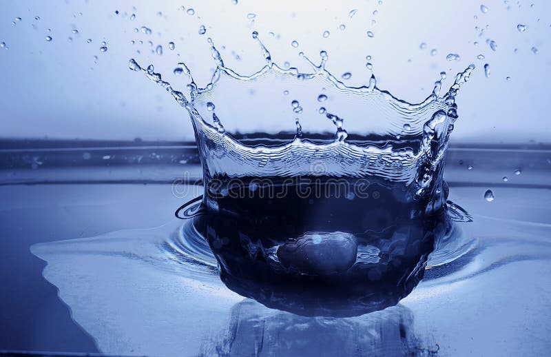 Walnut Water Splash Out Droplets Stock Image - Image of life, motion ...