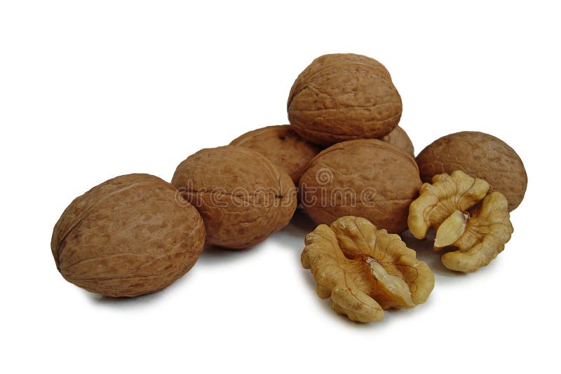 Walnut stock photo. Image of brown, fruit, zoom, trees - 63782944