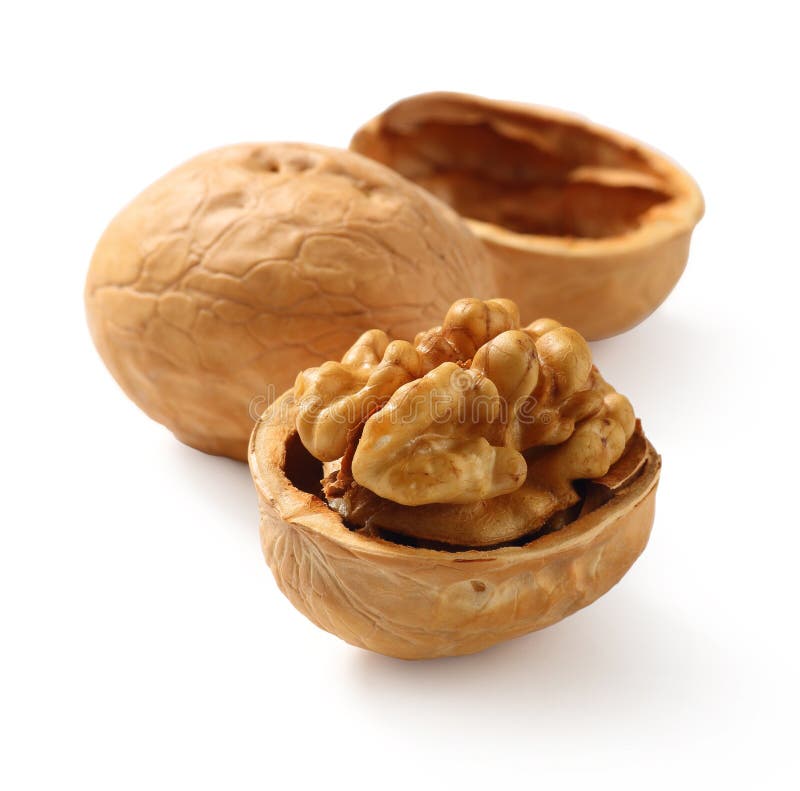 Walnut stock image. Image of natural, walnut, food, diet - 32336927