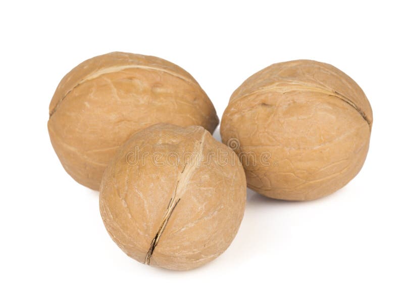 Walnut stock image. Image of group, objects, healthy - 77381253